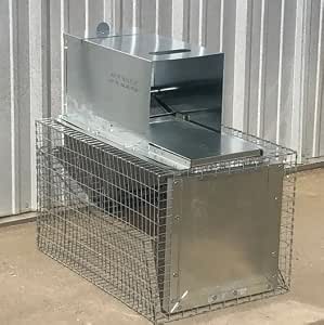 Amazon.com : Uhlik Repeater Live Trap for Cats : Sports & Outdoors