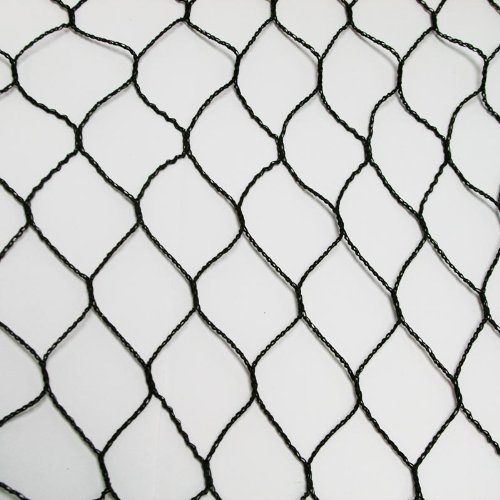 Amazon.com: Heavyweight Polyethylene Game Bird Netting - 25' x 150' x 2 ...