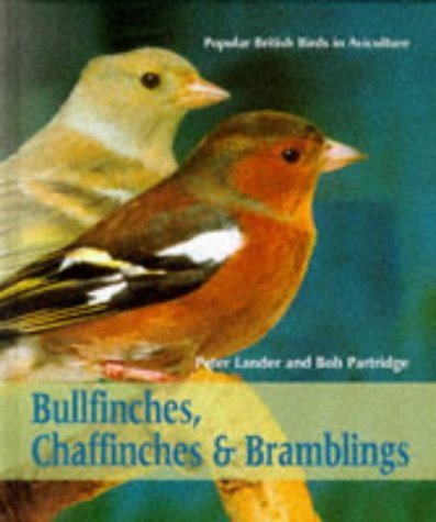 PBBA Bullfinches, Chaffinches and Bramblings (Popular British Birds in ...