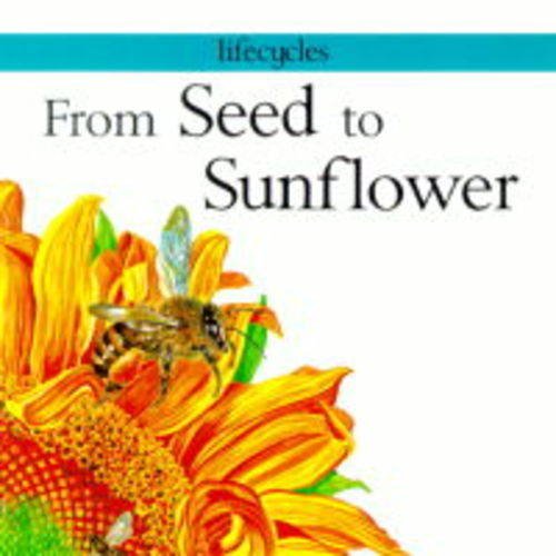 From Seed to Sunflower: 9780749631420: Amazon.com: Books