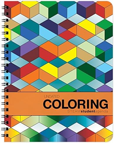 Amazon.com : Doodle Academic Planner 2024-2025 | July 2024 - August ...