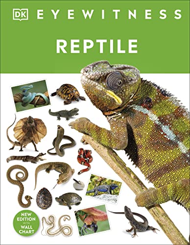 Reptile (DK Eyewitness) eBook : DK: Amazon.co.uk: Kindle Store