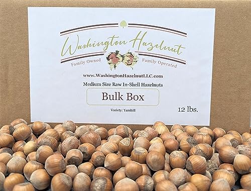 Amazon.com : Hazelnuts in-shell from our family orchard in Washington ...