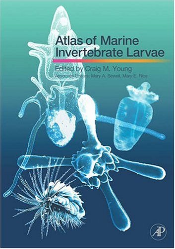 Atlas of Marine Invertebrate Larvae: Amazon.co.uk: Young, Craig M ...