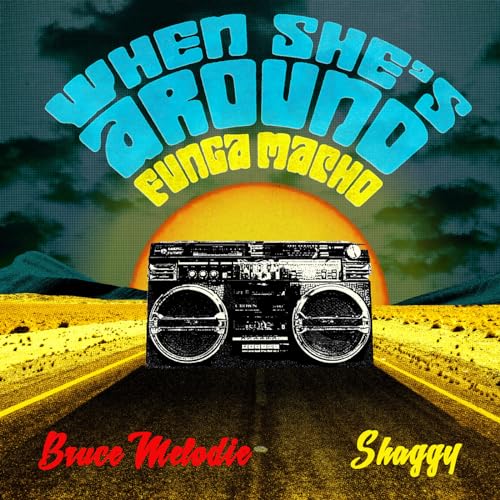 Play When She's Around (Funga Macho) Remixes by Bruce Melodie & Shaggy ...