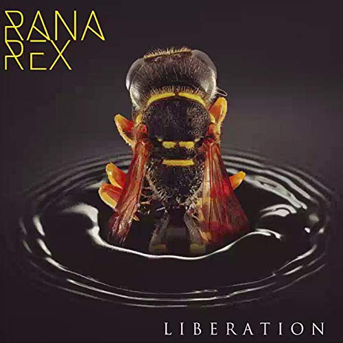 Amazon.com: Liberation : ranarex: Digital Music