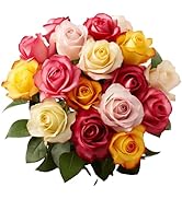 Amazon.com : GlobalRose 50 Green Roses - Fresh Flowers- Beautiful ...