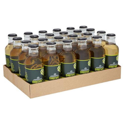 Britvic Ginger Ale Soft Drink 160ml Case of 24 : Amazon.co.uk: Grocery