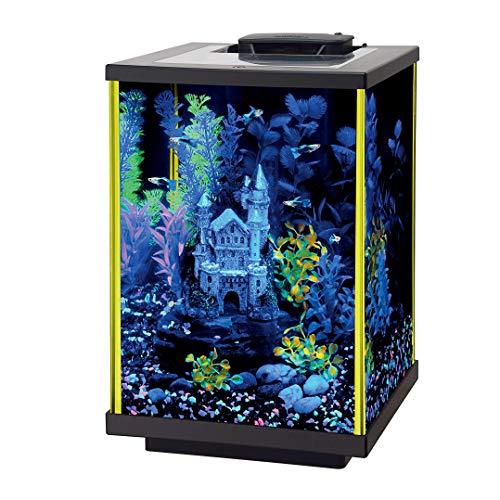7 Best Nano Aquariums - Small Enough For Your Desktop
