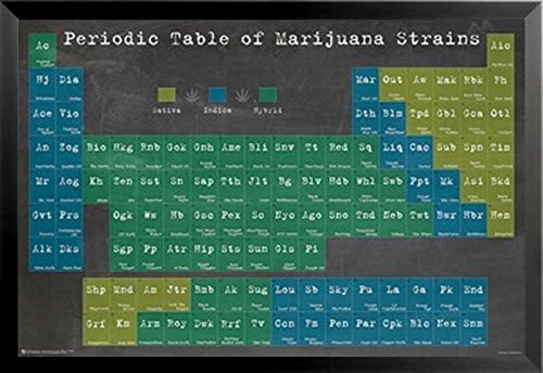 Amazon.com: Buyartforless Framed Periodic Table of Marijuana Strains ...