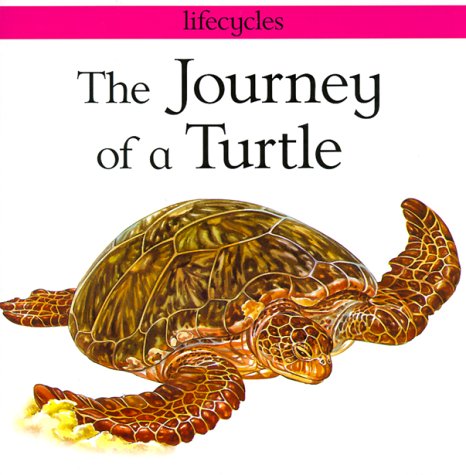 The Journey of a Turtle (Lifecycles): Scrace, Carolyn, Salariya, David ...