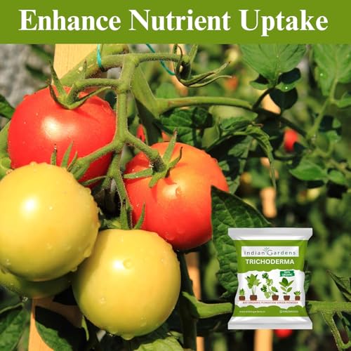 Indian Gardens - Trichoderma plant fertilizer | Trichoderma Compost ...