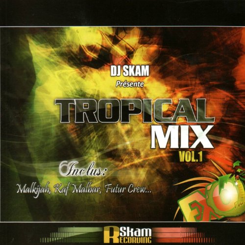Amazon Music - Dj SkamのDJ Skam présente Tropical Mix, vol. 1 - Amazon.co.jp