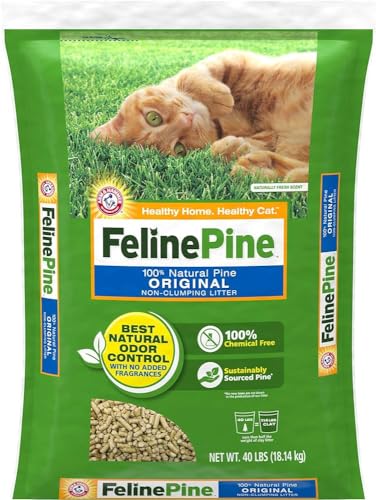 Feline Pine Cat Litter – The 15 best products compared - Wild Explained