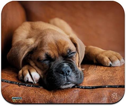 Amazon.com: Boxer Puppy Dog Sleeping in Leather Chair Low Profile Thin ...