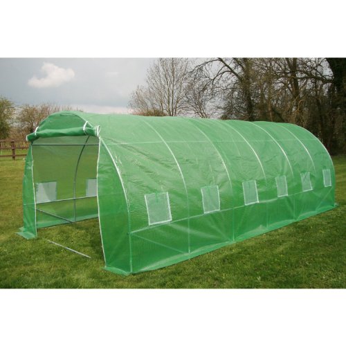 5 Best Polytunnels For An Allotment - A Buyer's Guide