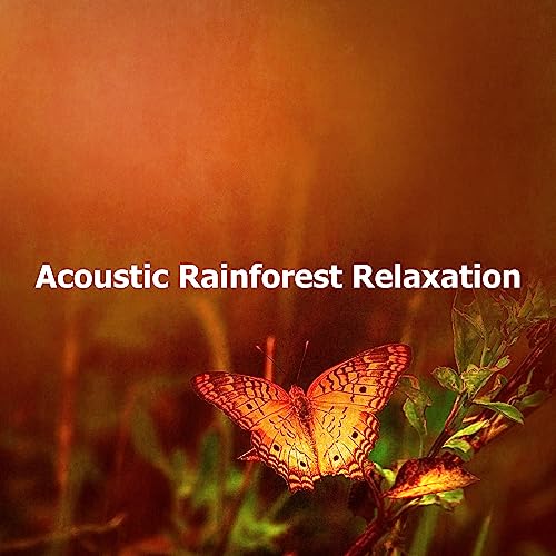 Amazon.com: Acoustic Rainforest Relaxation : Rainforest Soundscapes ...