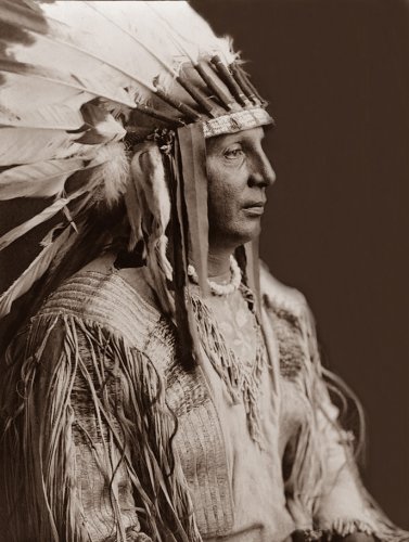 Amazon.com: Indian games and dances with native songs, arranged from ...