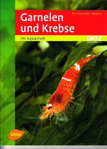 Aquarium für Krebse – Die 15 besten Produkte im Vergleich - Aquaristik