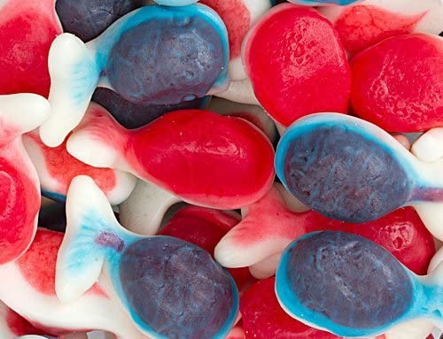 Amazon.com : Bayside Candy Gummy Collection - Gummi Collection Gummy ...