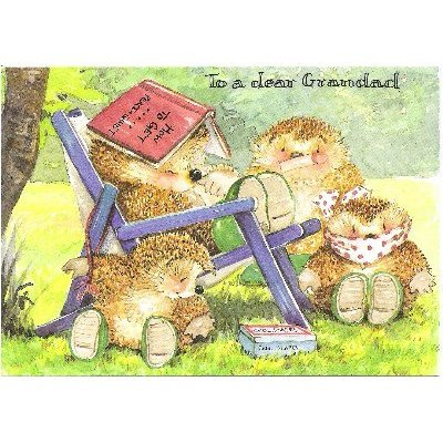 Country Companions Hedgehog Birthday Greeting Card (Country Companions ...