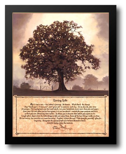 Amazon.com: Living Life 26x32 Framed Art Print by Mohr, Bonnie: Artwork ...