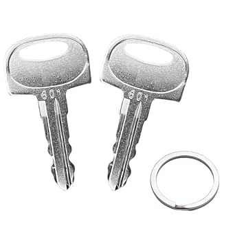 Amazon.com: 601 Ignition Keys for Sany Mini Excavator Broderson Crane ...