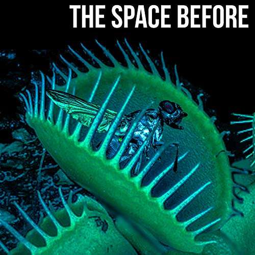 Play The Space Before by The Space Before on Amazon Music