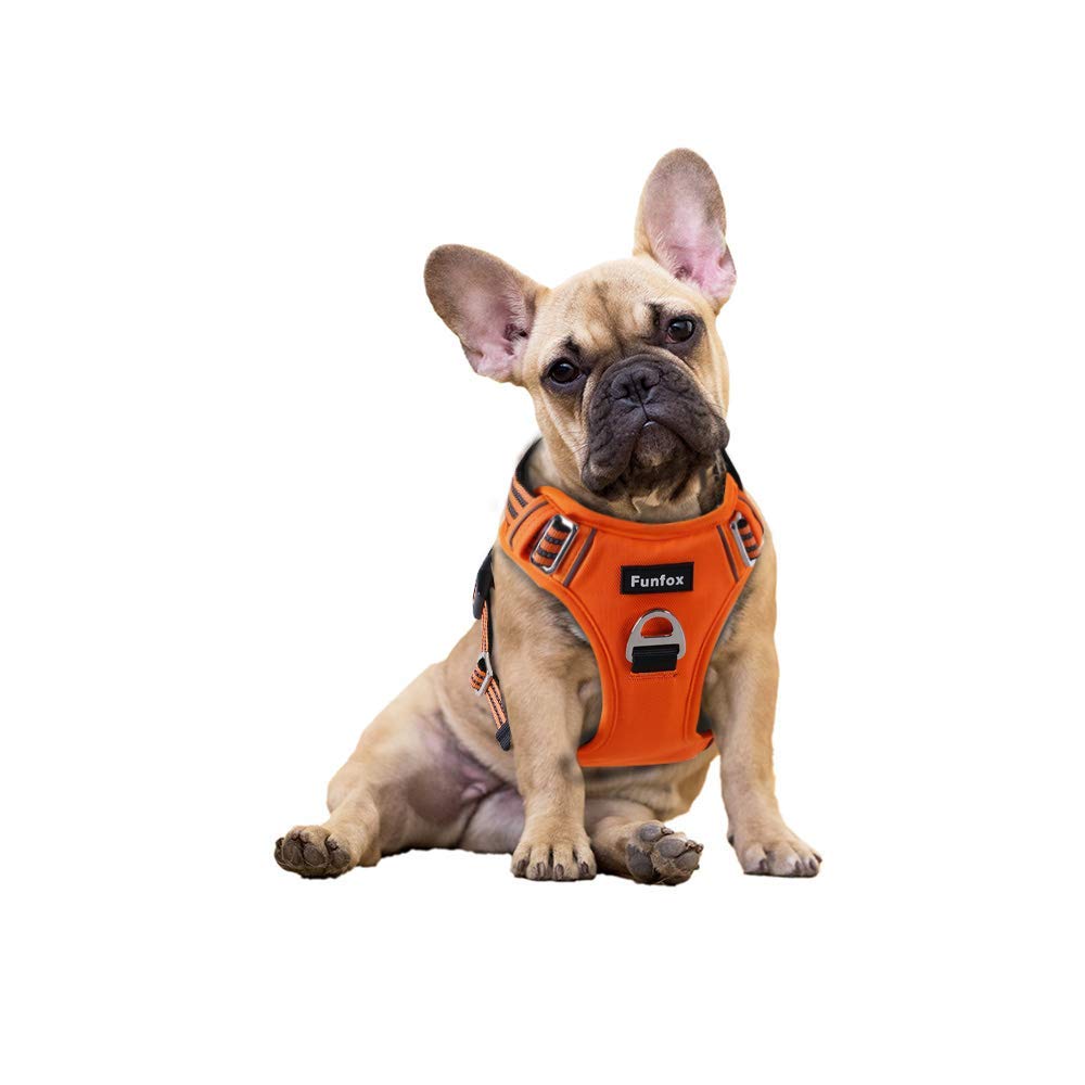 Funfox Dog Harness No Pull Pet Harness, Adjustable Dog Vest for Easy ...
