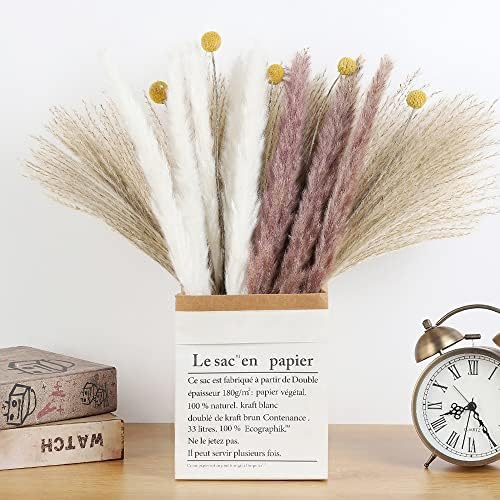 FAGIGY Natural Dried Reed & Billy Ball Bouquet – 30 Dusters + 20 White ...