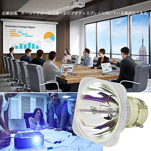 Rich Lighting プロジェクター 交換用 ランプ タイプ16, 512771 RICOH RICOH PJ HD5451 ...