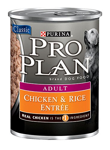 Amazon.com: Purina Pro Plan Dog Food Chicken & Rice 13 Oz Can : Pet ...