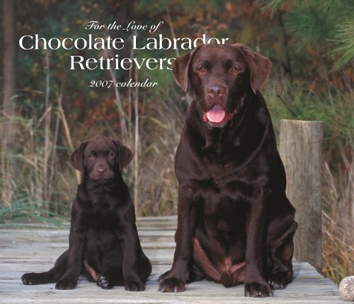 For the Love of Chocolate Labrador Retrievers 2007 Deluxe Calendar ...