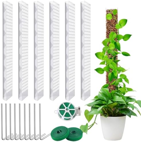 6 Stück Moosstab Rankhilfe Transparent Rankhilfe Monstera, 24 Zoll ...