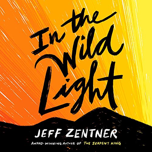 Amazon.com: In the Wild Light (Audible Audio Edition): Jeff Zentner ...