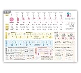 ・ブランド:ノートライフ（notelife)・製造元:ノートライフ（notelife)・【サイズ】A2サイズ（59cm×42cm)見やすいポスターサイズです。・水で貼って剥がせる防水・耐水ポスター（とても破れにくいユポ紙使用しています。）・...