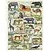 Amazon.com: Cavallini & Co. Decorative Wrap Poster, Animal World, 20 x ...