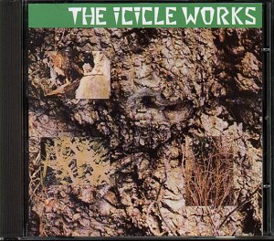 Icicle Works - Amazon.com Music
