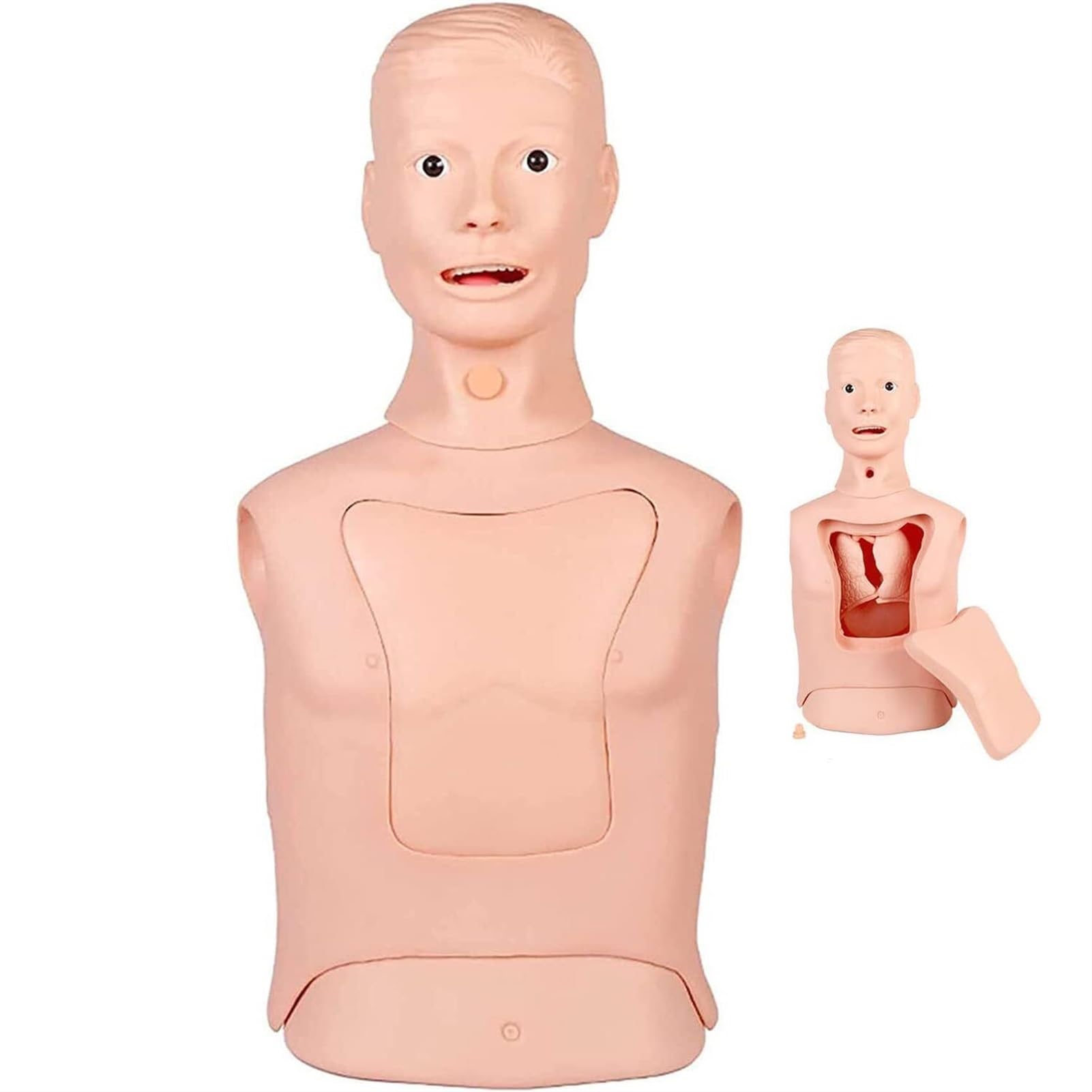 Buy Endotracheal Intubation tric Tube, Tube Nasotric Feeding Training ...