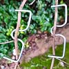 Amazon.com : DAGUANZHI 15 Pcs Fruit Tree Branch Puller Tying Machine ...