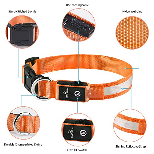 Snapklik.com : Light Up Dog Collars-LED Dog Collar Rechargeable ...