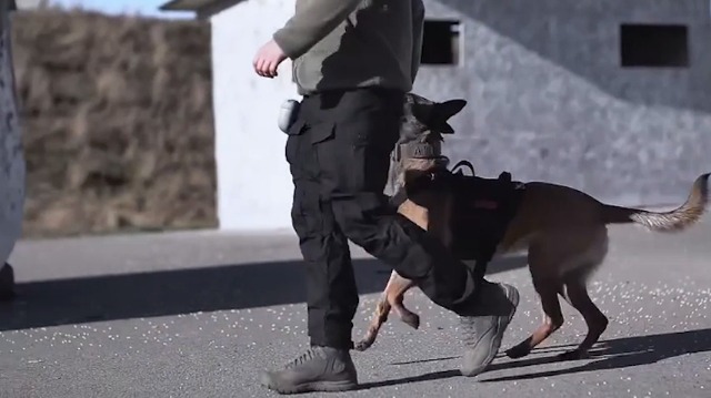 Watch Specially designed snug-fit, Zero-hindrance structure VEST on ...