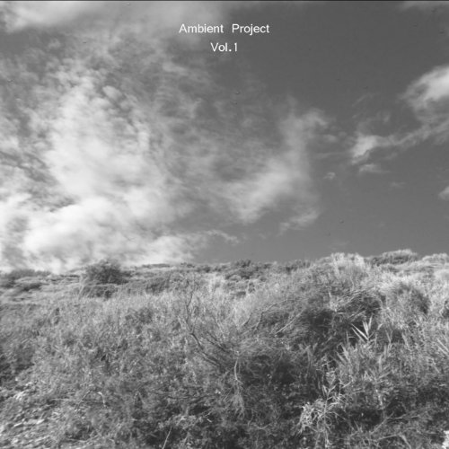 Play Ambient Project, Vol. 1 by Ambient Project on Amazon Music