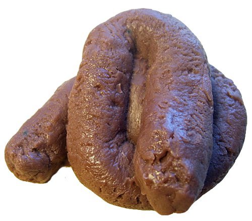 Amazon.com : Doggy Doody Fake Dog Poop Handcrafted Soap (Fruit Loops ...