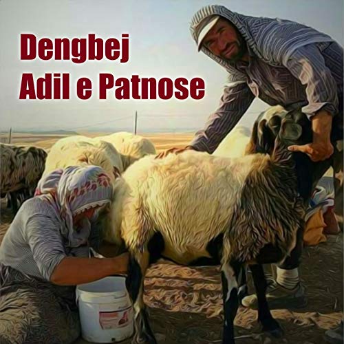 Amazon.co.jp: Dengbej : Adil e Patnose: デジタルミュージック