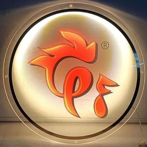 Amazon.com: Business Neon Lights Mirror Logo Sign, Backlit Illuminated ...