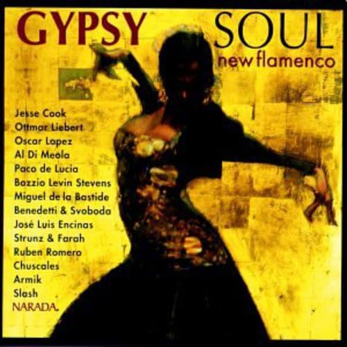 Gypsy Soul: Various: Amazon.es: CD y vinilos}