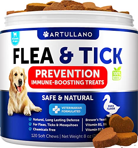 10 Best NexGard Chewables 6 Pack - Your Guide to a Happy & Healthy Pet ...