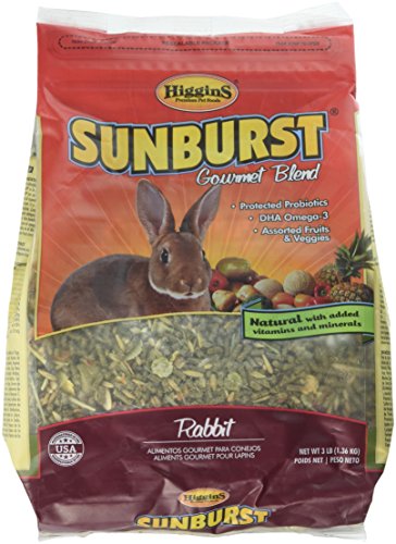 Get Your Bunny Hopping with the Top 10 Sunburst Rabbit Food Picks ...