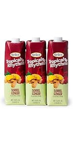 Amazon.com : Grace Tropical Rhythms Sorrel Ginger Jamaican Fruit Juice ...
